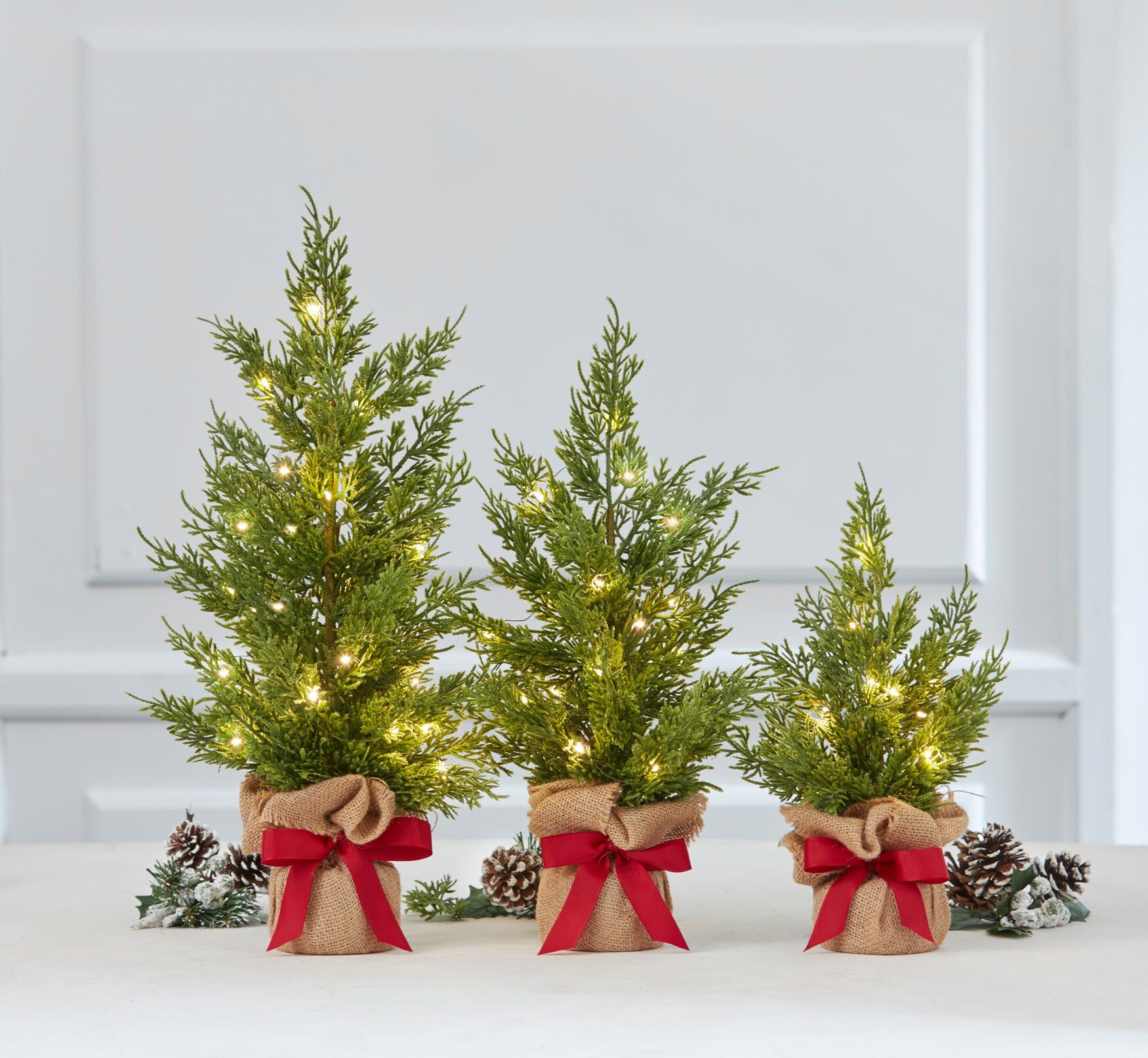 Pre-Lit Tabletop Trees, Set of 3 | Woman Within