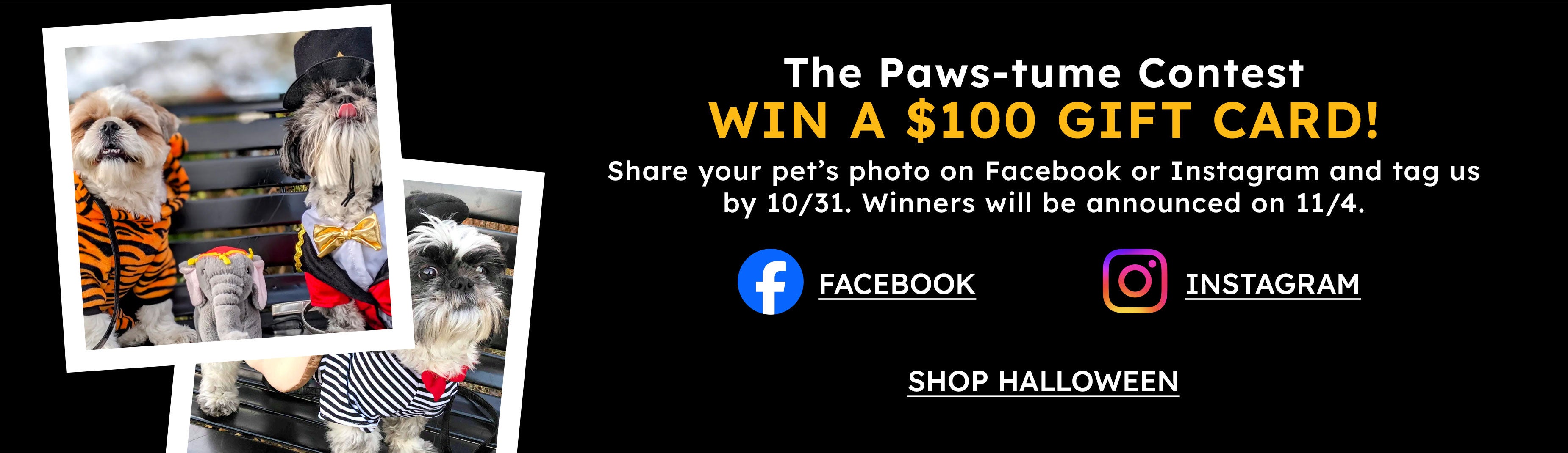 the paws-tume contest win a $100 gift card, share your pe's photo on ...